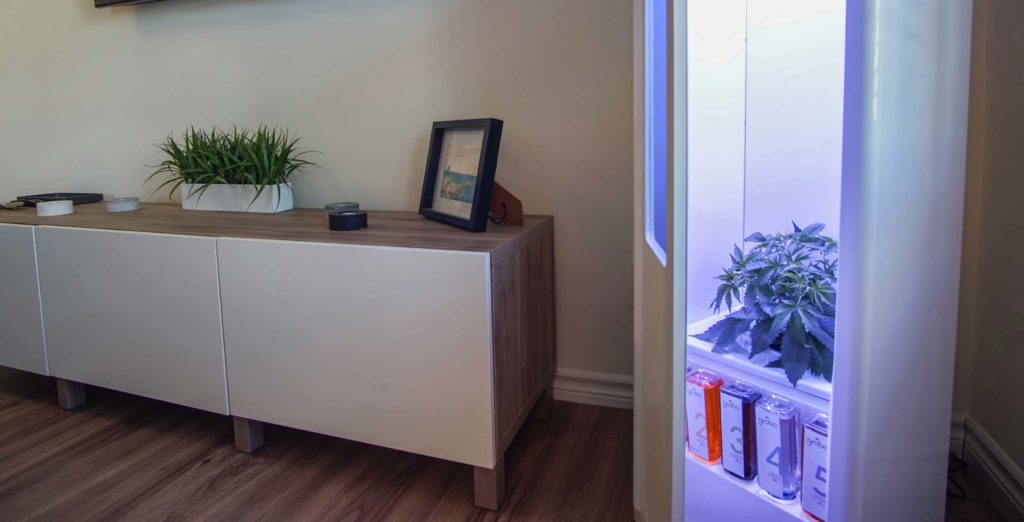 Celebrate 420 by ordering a Grobo One marijuana grow box