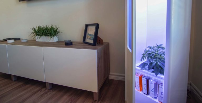 Celebrate 420 by ordering a Grobo One marijuana grow box