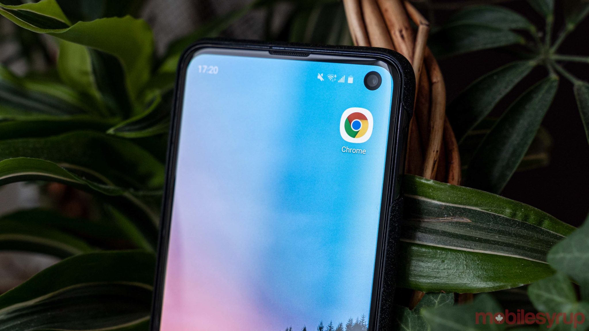 Check out the big new features in the Chrome 84 beta