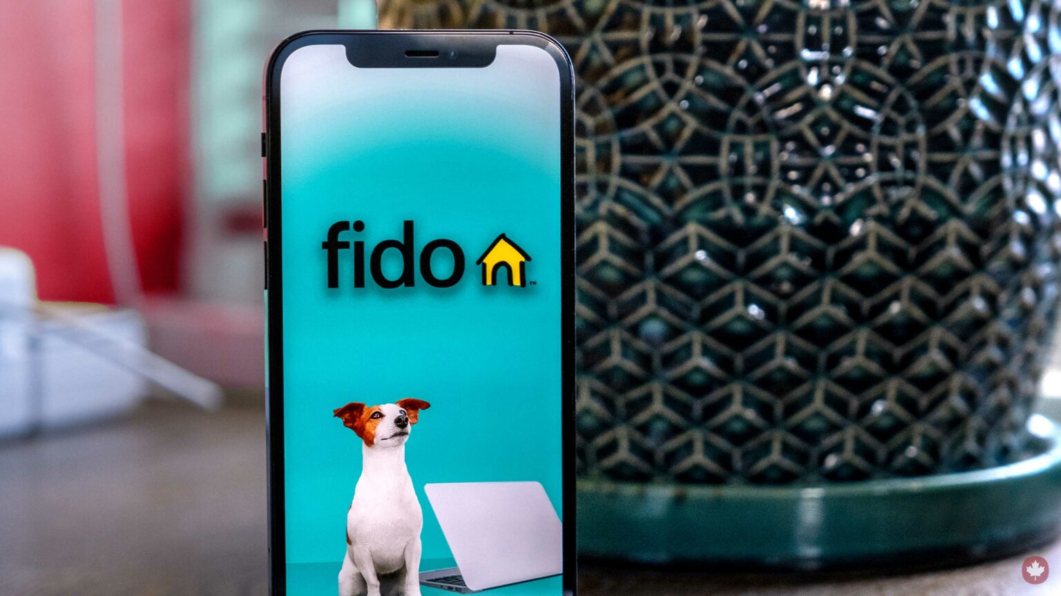 Fido discounts data deals, offers 10GB/$50 and 16GB/$75 plans