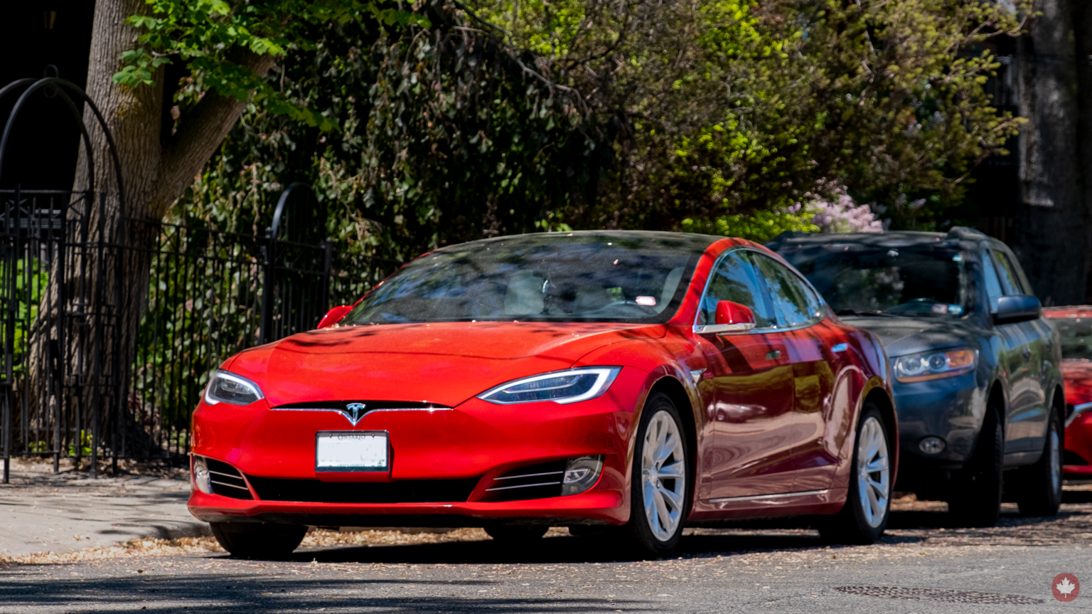 Elon Musk cancels long-range Tesla Plaid+ Model S trim option