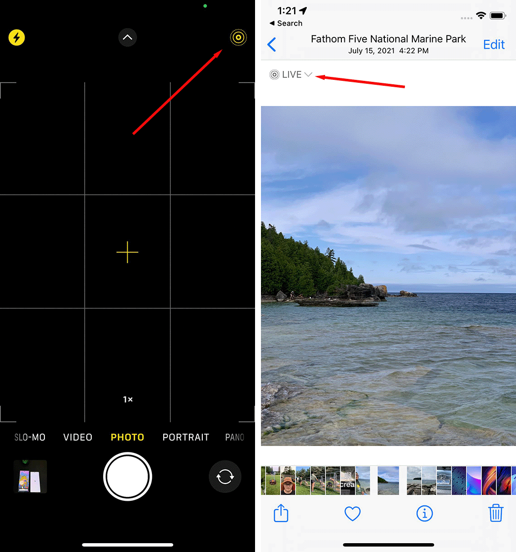 How to turn motion photos on (or off) on your iPhone or Android