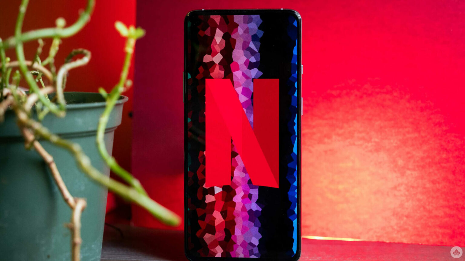 If you've cancelled Netflix, the streaming service wants you back