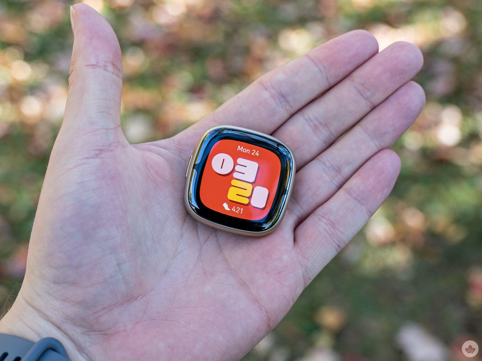 Fitbit Sense 2 Review: Running in reverse