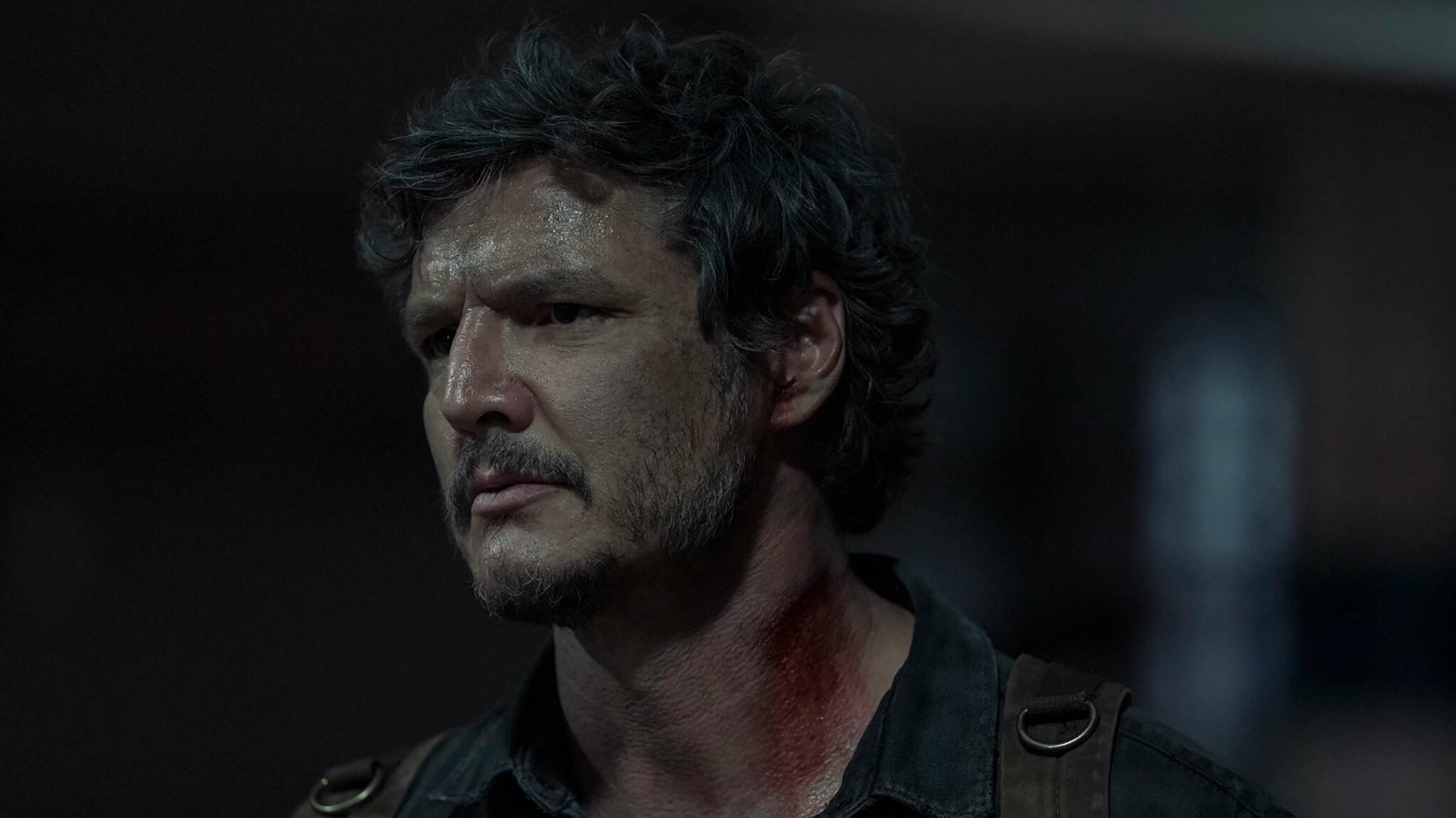 Pedro Pascal raves about Canada, suggests The Last of Us Season 2 will ...