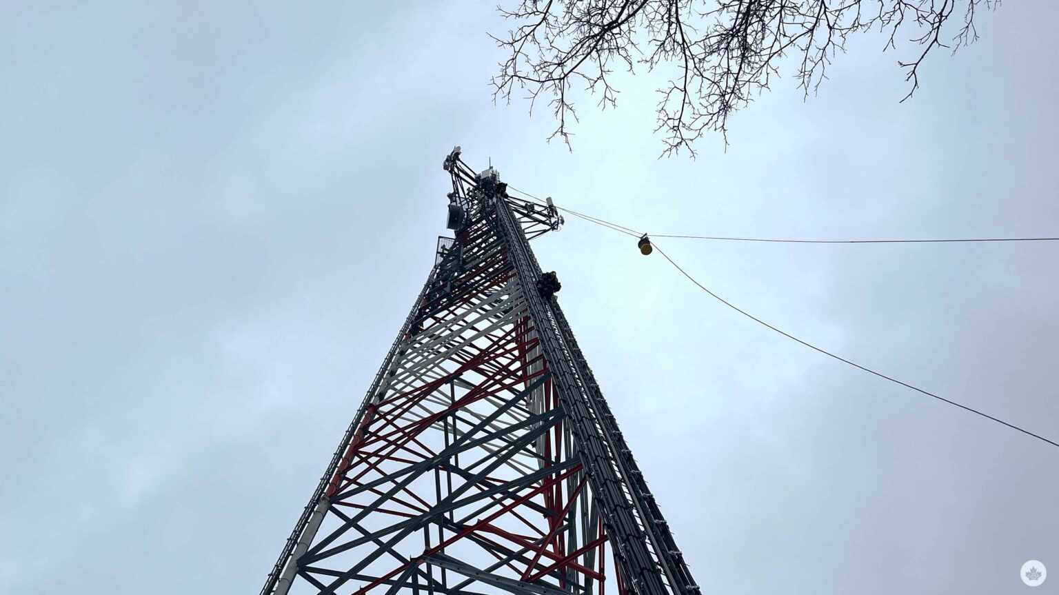 A downed cell tower has left an Alberta community without service for weeks