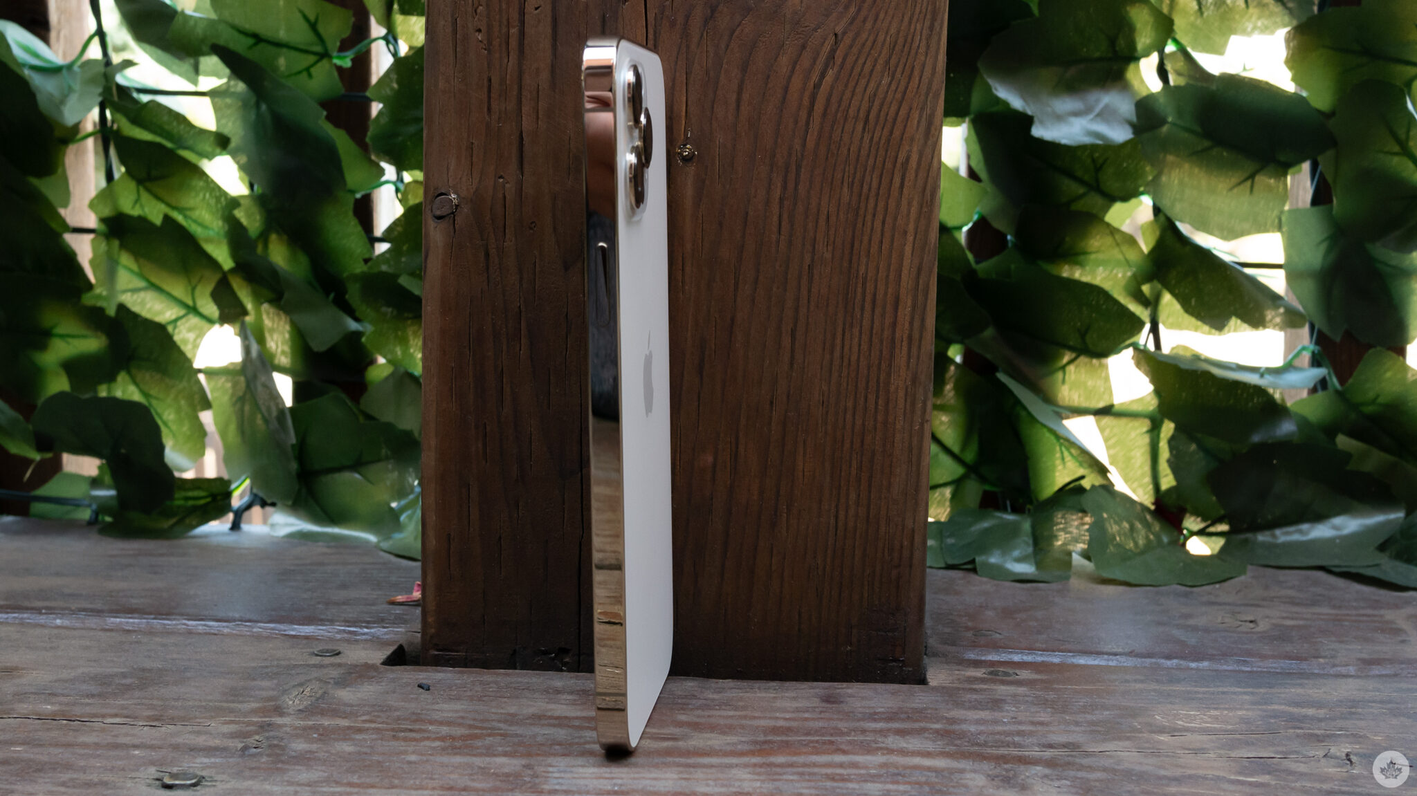 Apple will reportedly kill off 'gold' stainless steel sides with iPhone ...