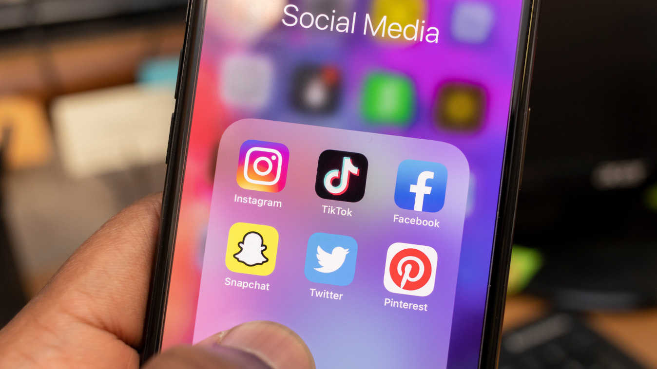 Elections Canada is working with social media platforms to address ...