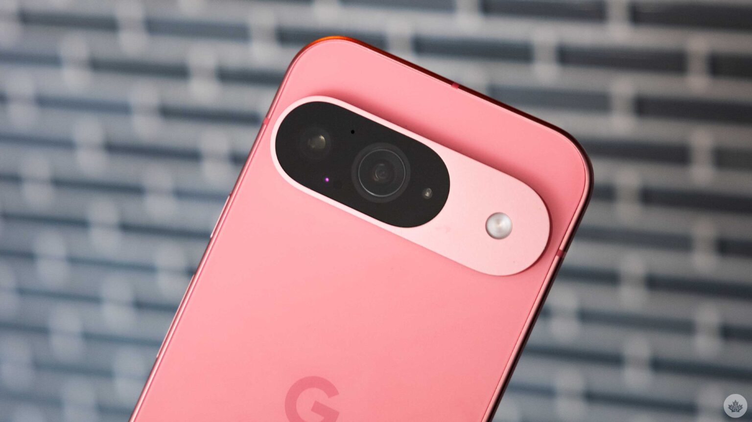 Canadians can get deals on the Pixel 9 at Telus, Rogers, and Freedom